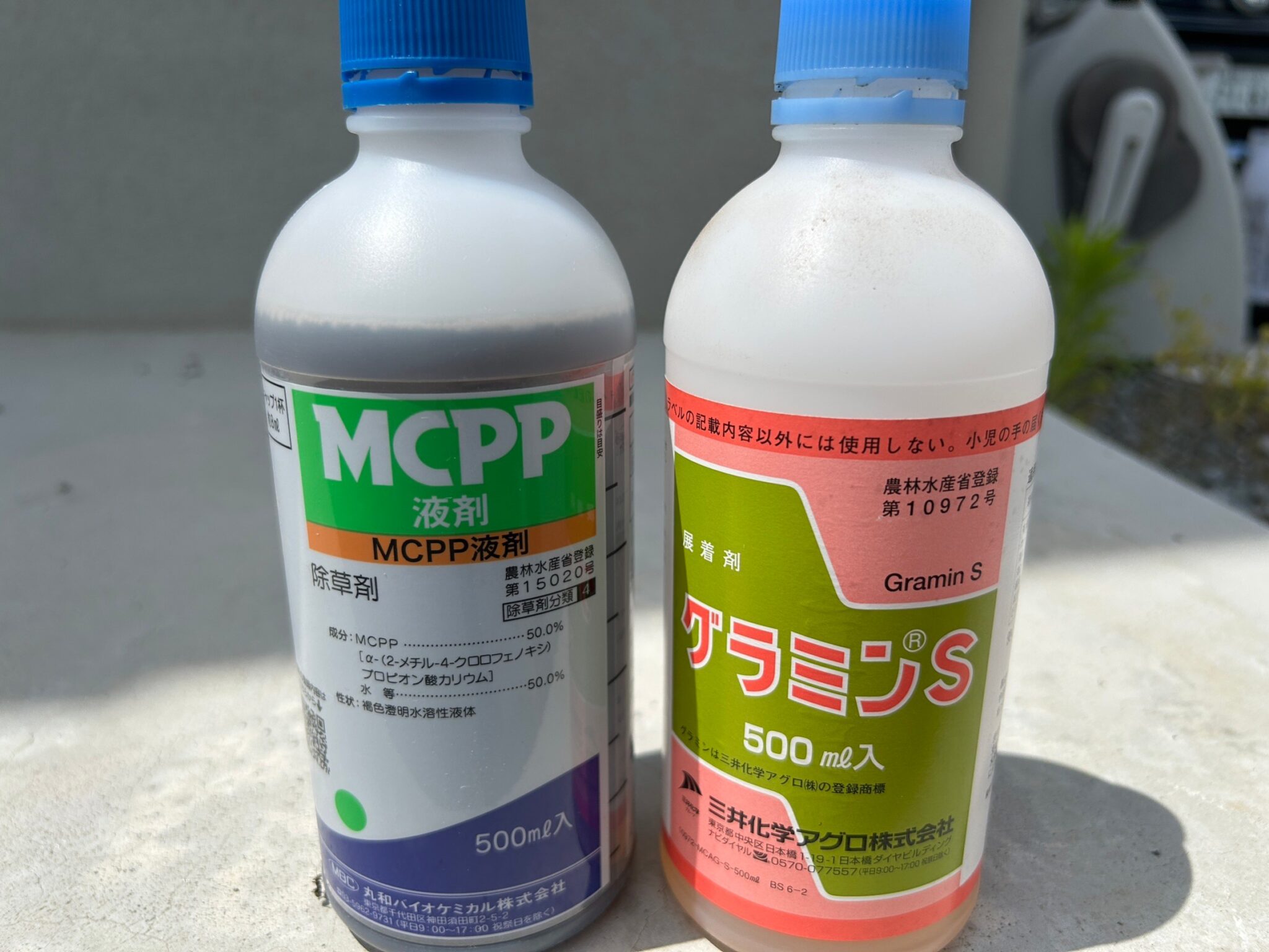 芝生を枯らさない除草剤『MCPP』。実際の効果と注意点を徹底解説！ - 田舎ごりら